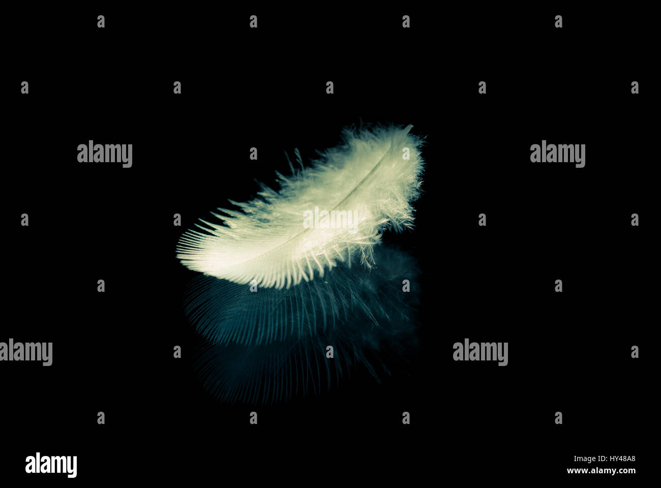 Reflect natural light hi-res stock photography and images - Alamy
