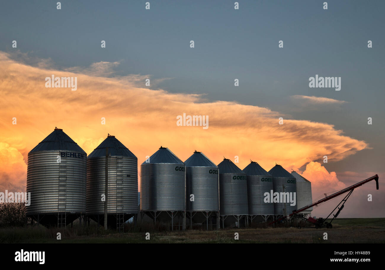Storm Clouds Saskatchewan Prairie scene Anvil Cloud Stock Photo - Alamy