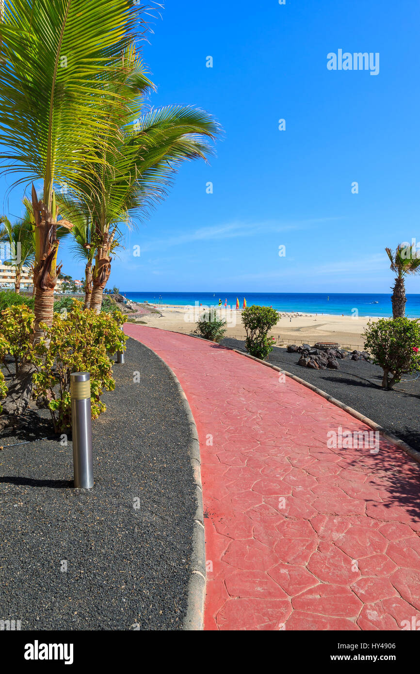 Palm trees on Morro Jable coastal promenade and beach view ...