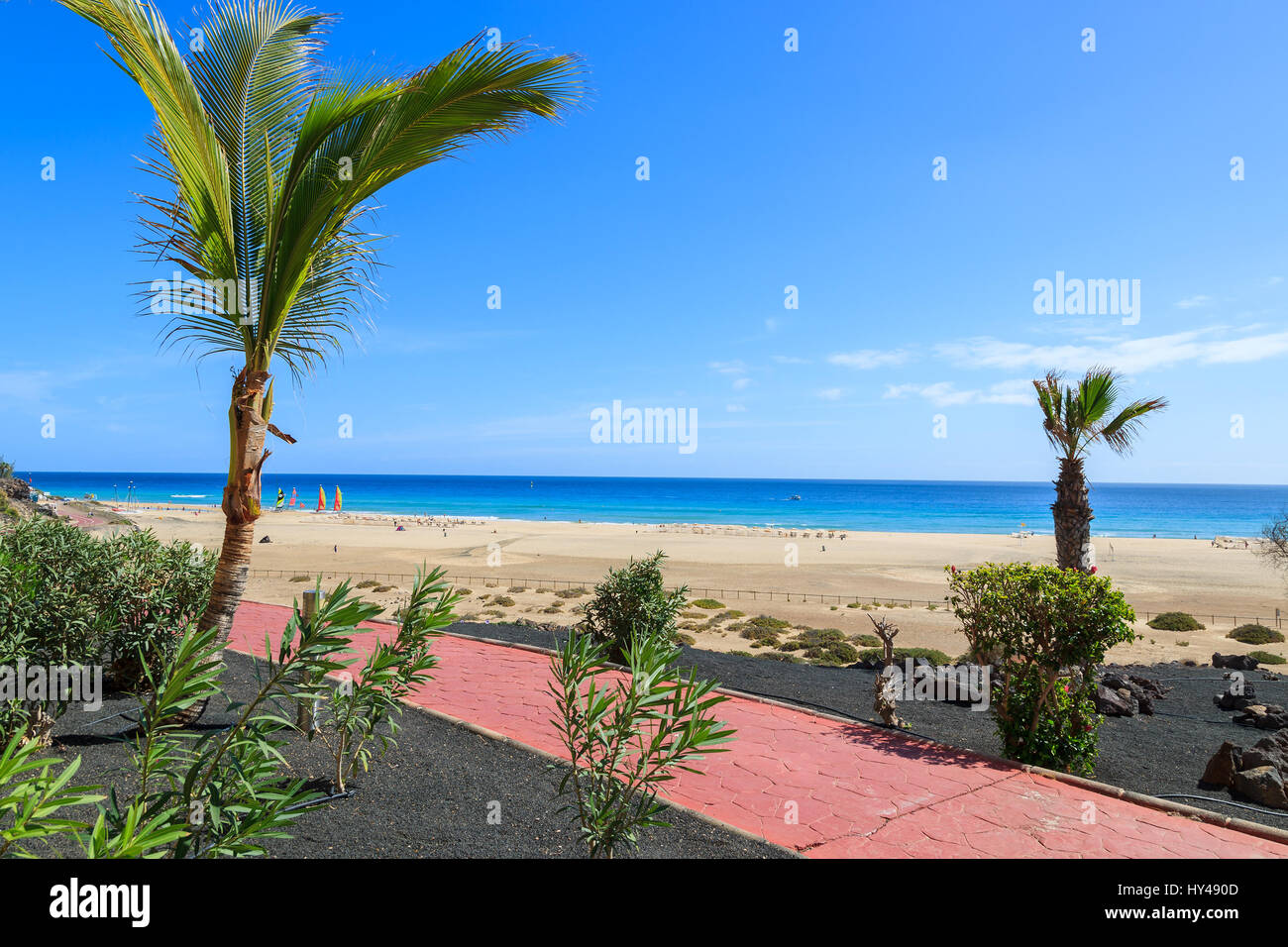 Palm trees on Morro Jable coastal promenade and beach view ...