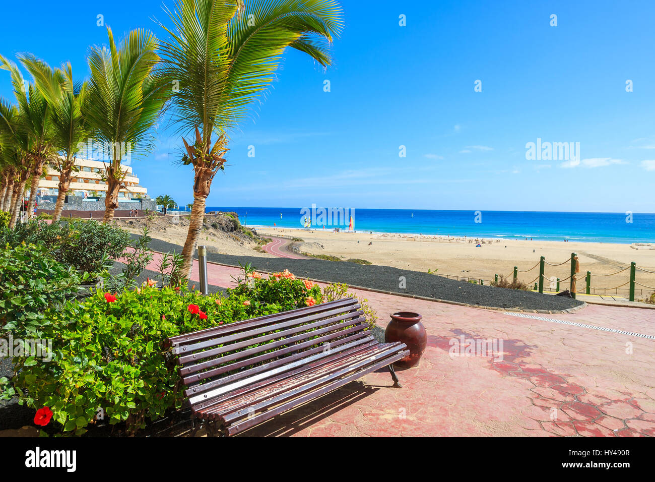Palm trees on Morro Jable coastal promenade and beach view ...