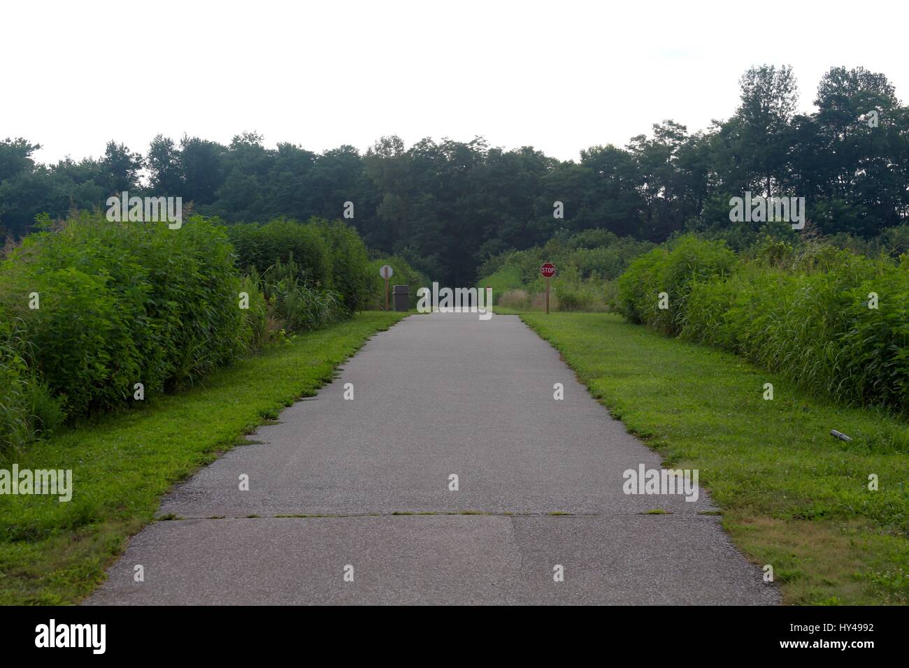 The side view of the old covered bridge in the park Stock Photo - Alamy