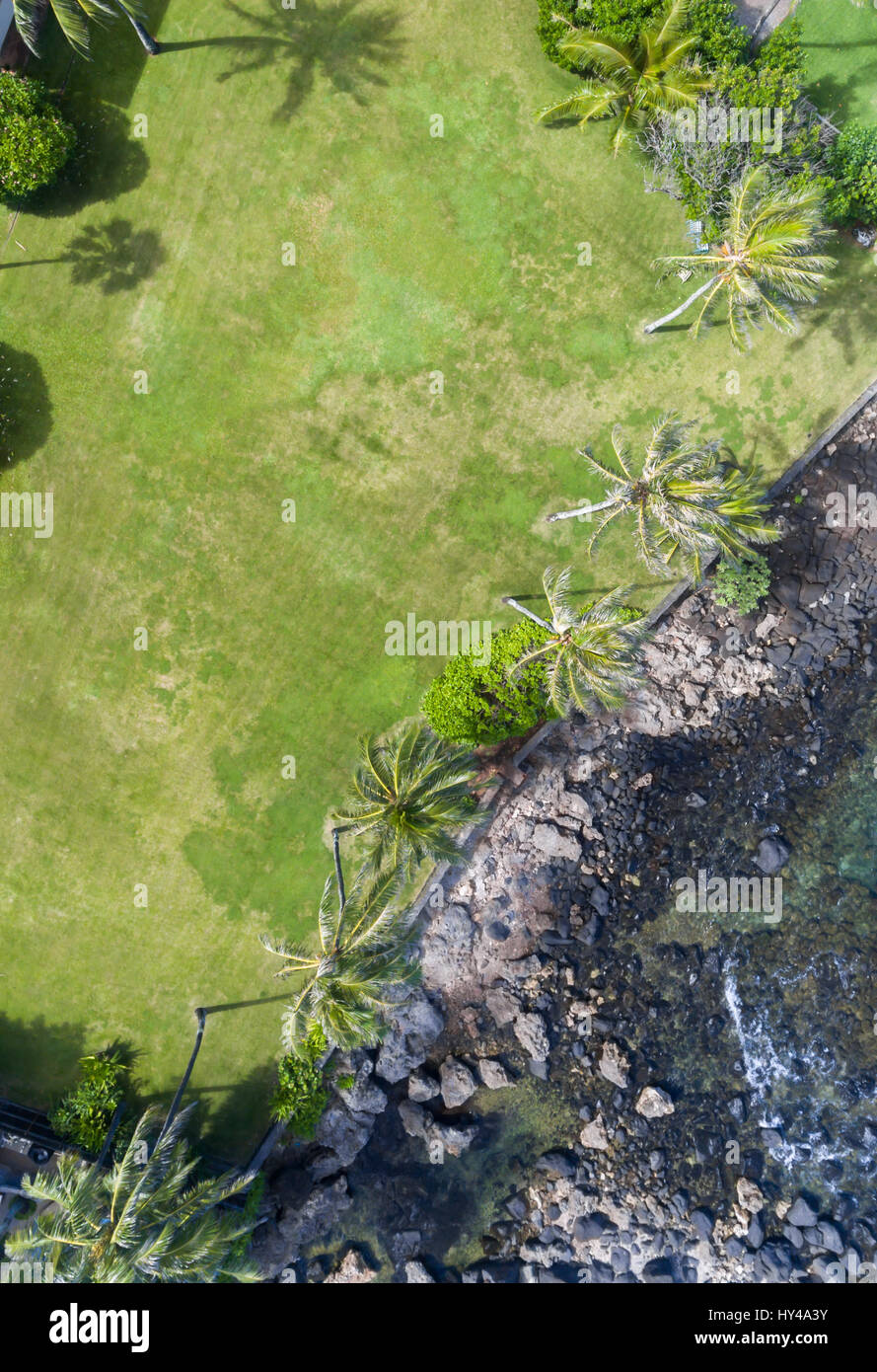 Aerial view palm trees in hi-res stock photography and images - Alamy