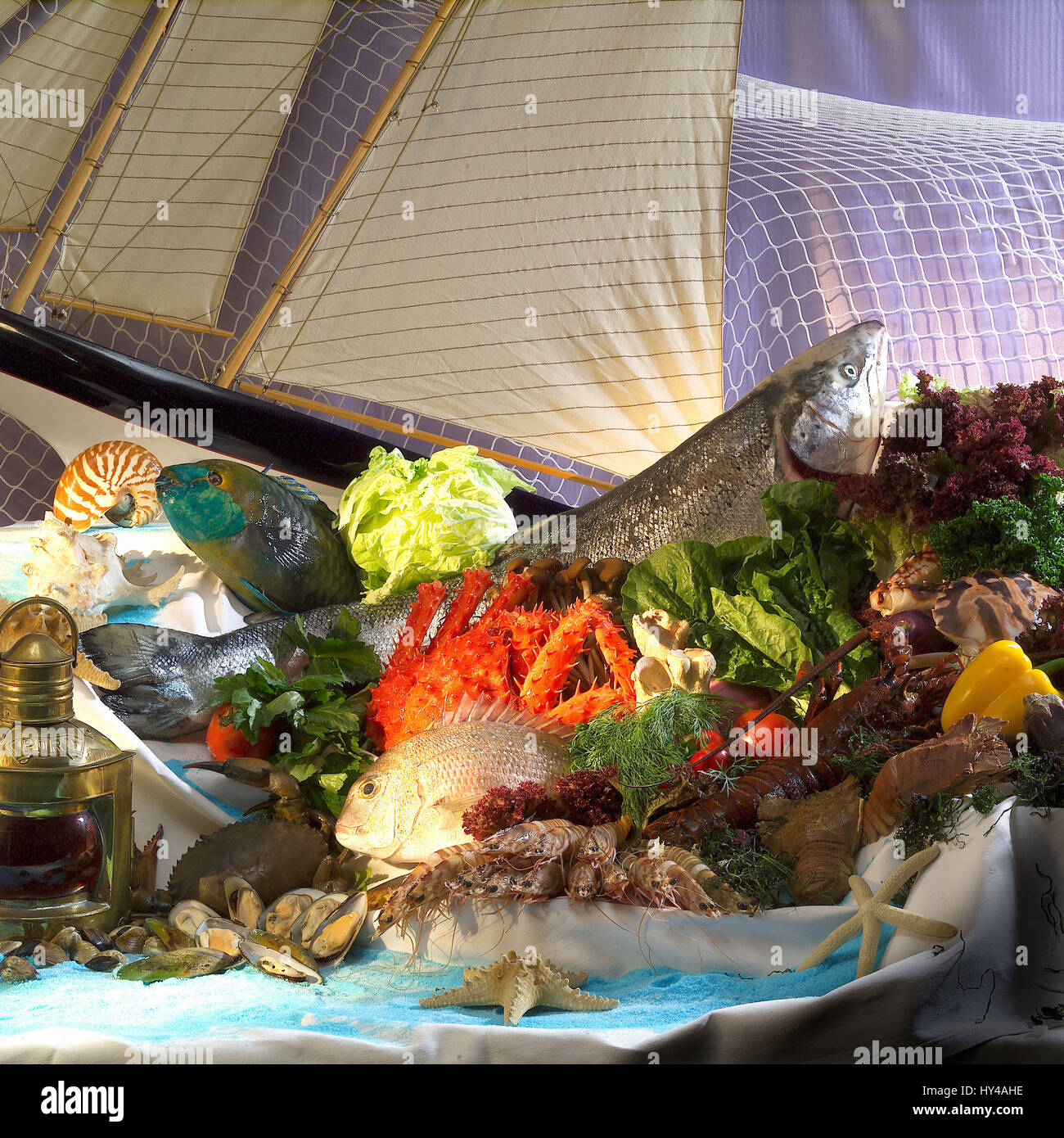 Prawn netting hi-res stock photography and images - Alamy