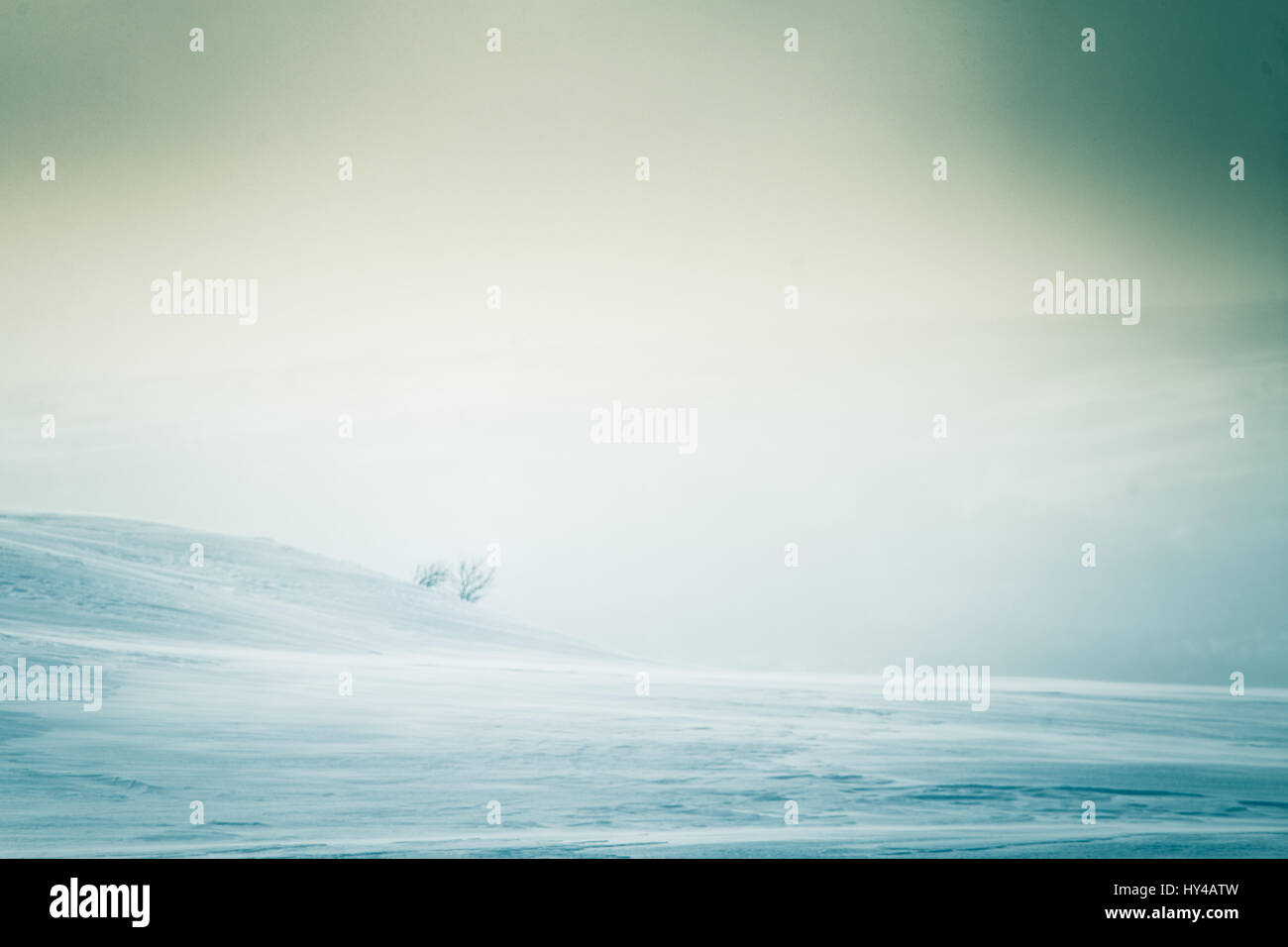 A beautiful, artistic, minimalist landscape with a lot of snow in the ...