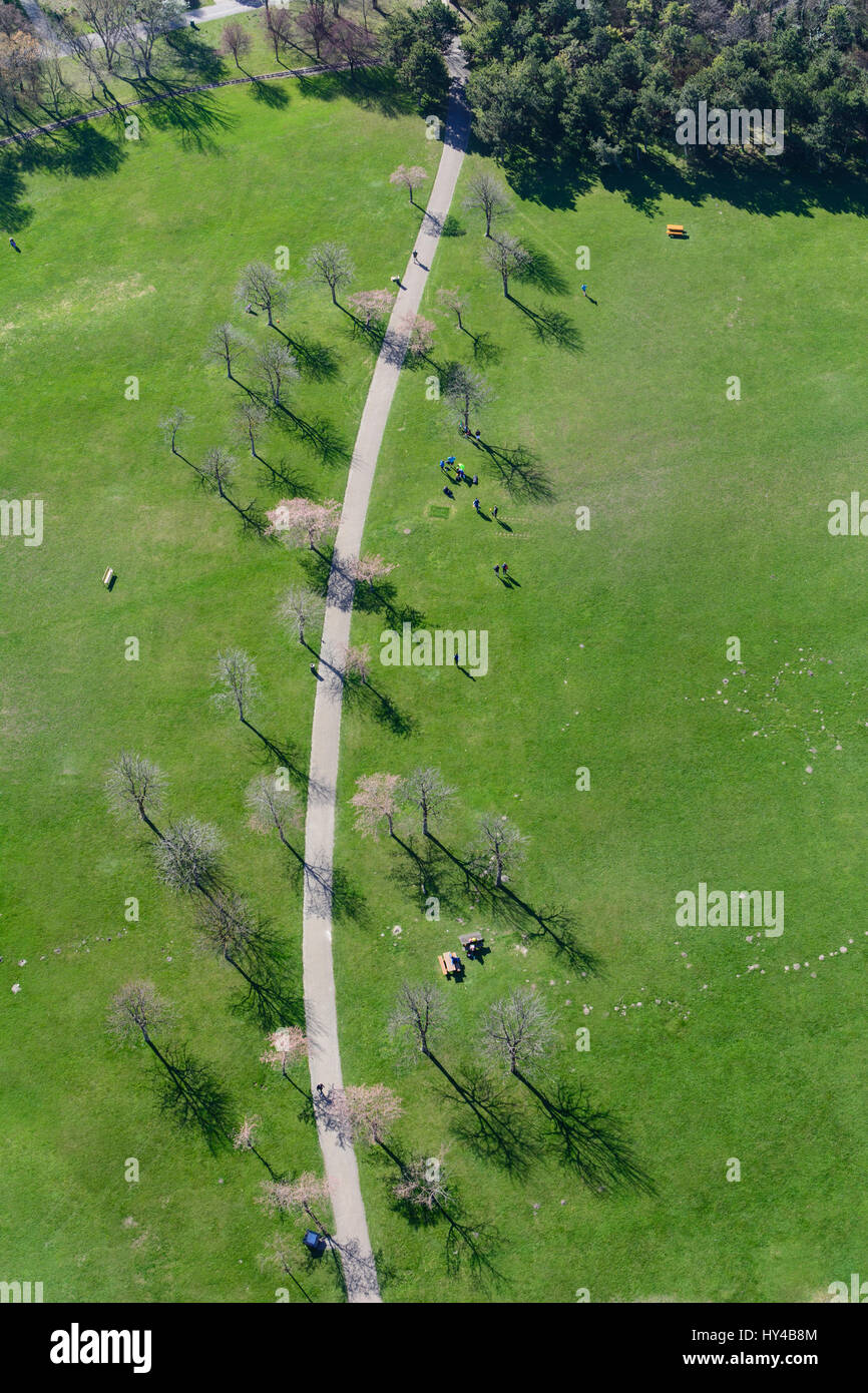 way path at meadow, flowering trees, people walking, Wien, Vienna, 22 ...