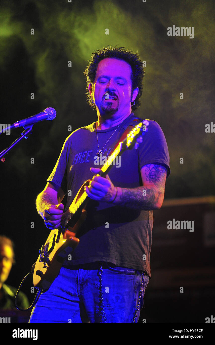 arranger, artist, celebrity, composer, concert, guitar player ...