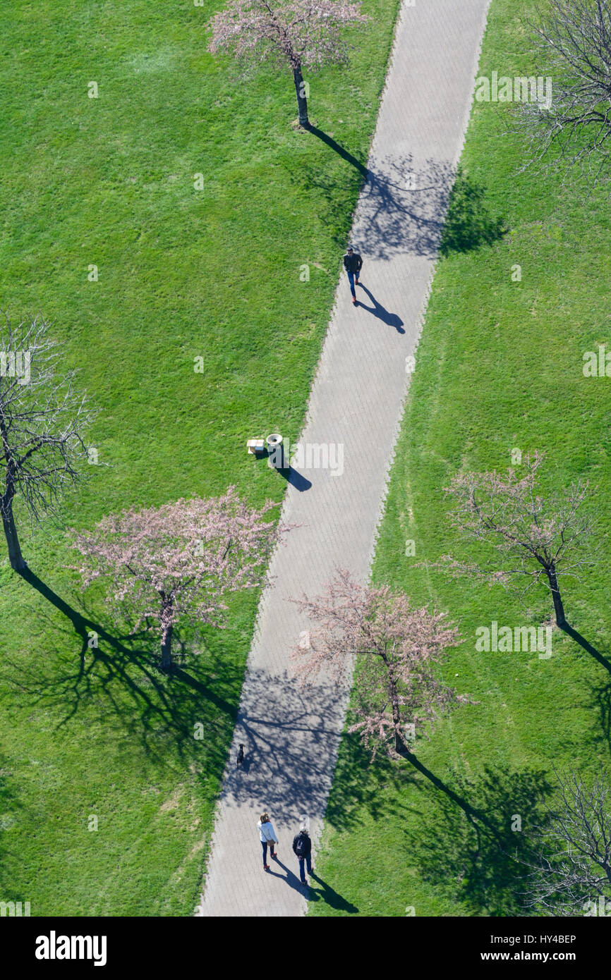 Aerial view people walking hi-res stock photography and images - Alamy