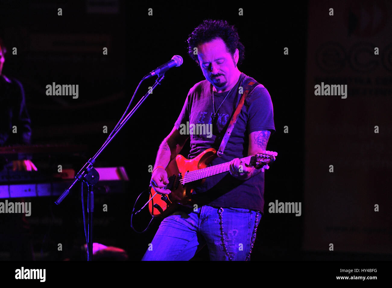 arranger, artist, celebrity, composer, concert, guitar player ...