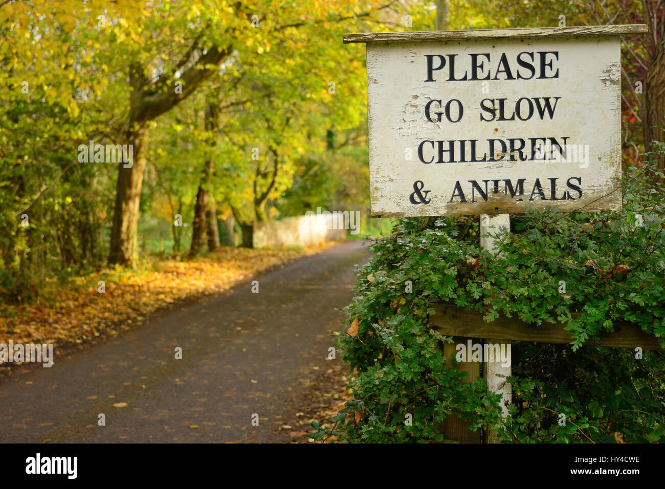 A sign beside a country lane Stock Photo - Alamy