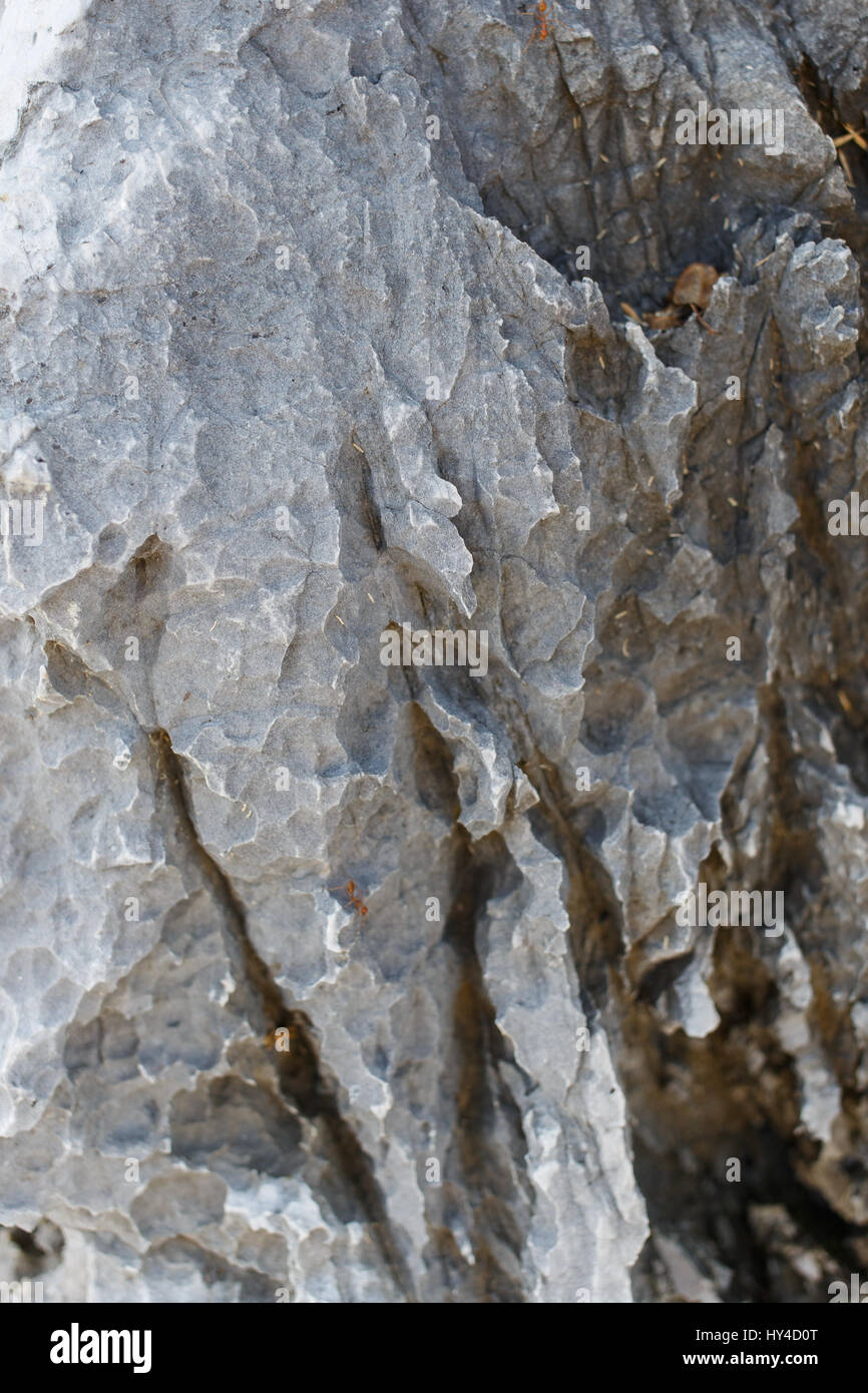 Stone texture on mountain side Stock Photo - Alamy