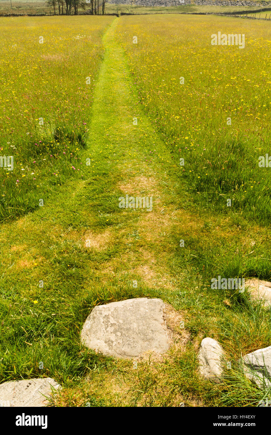 Mown grass pathway hi-res stock photography and images - Alamy