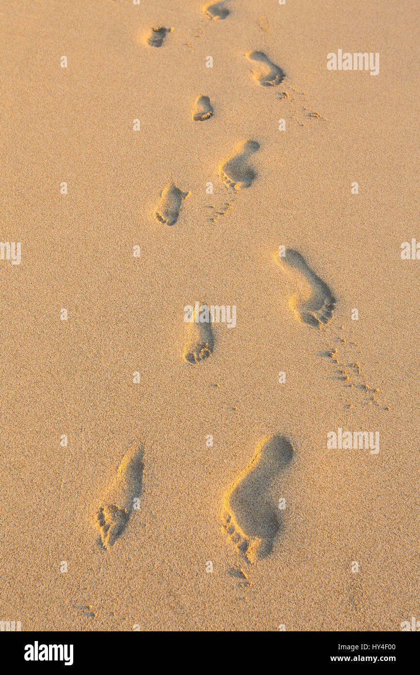 Footprints in the sand two sets hi-res stock photography and images - Alamy