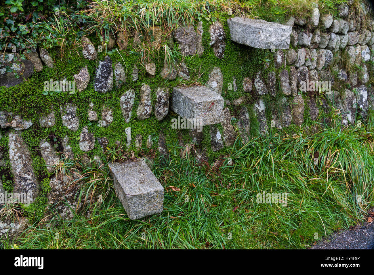 Step style in dry stone wall, Cornwall, England, United Kingdom Stock ...