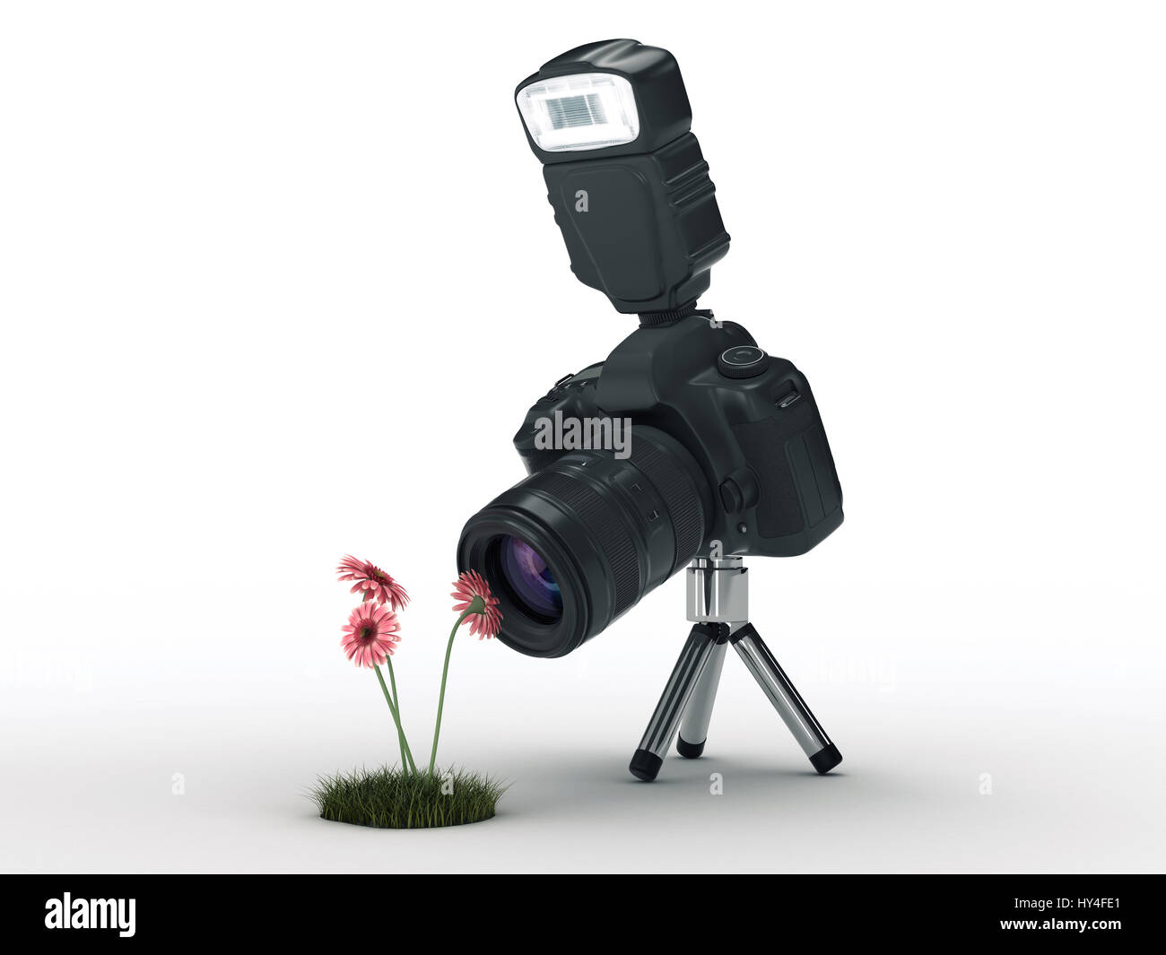photo camera and plant Stock Photo - Alamy