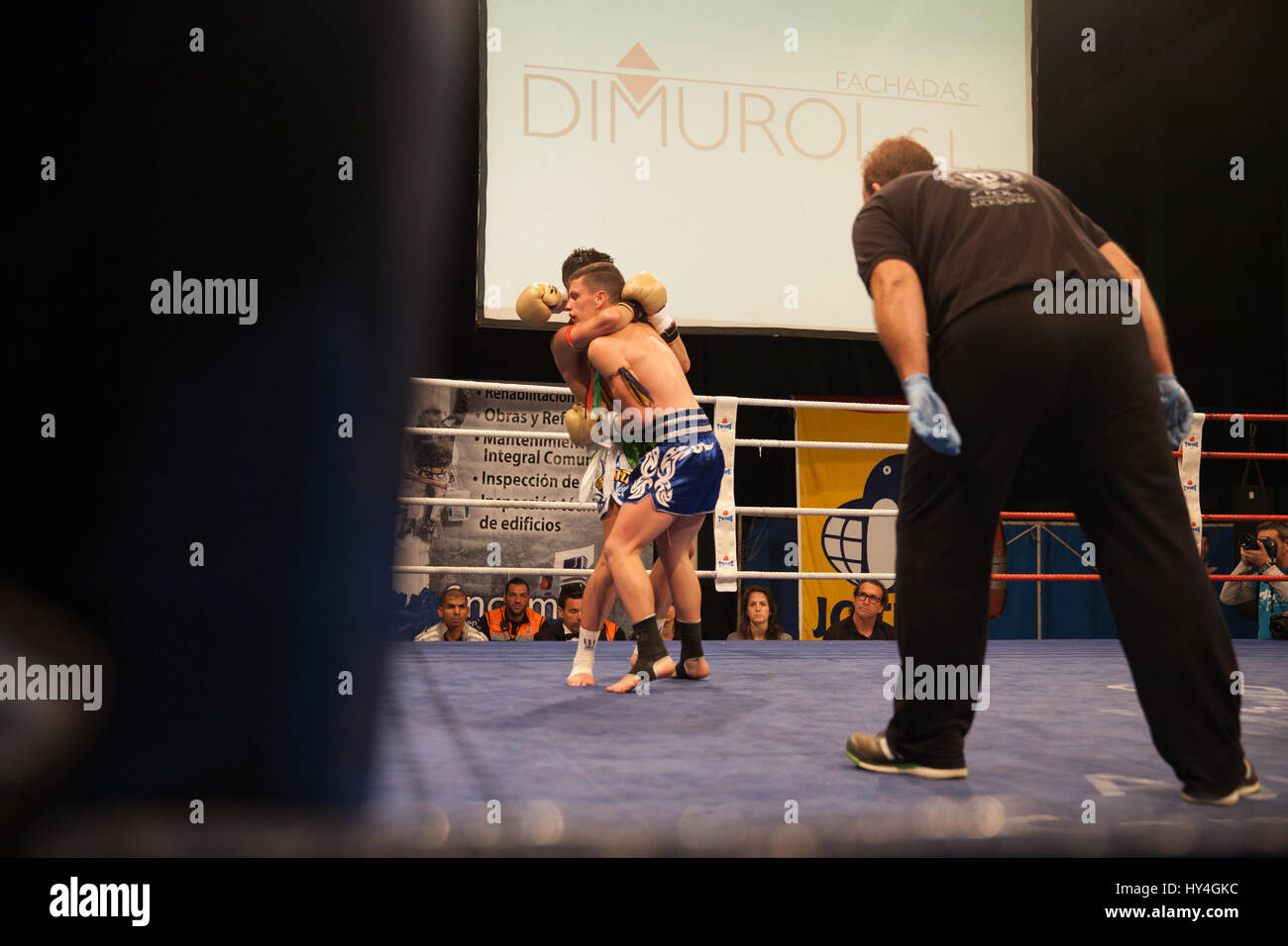 male versus male kickboxing match Stock Photo - Alamy