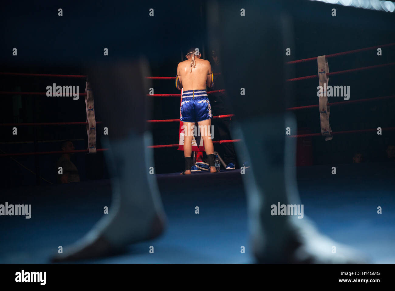 male versus male kickboxing match Stock Photo - Alamy