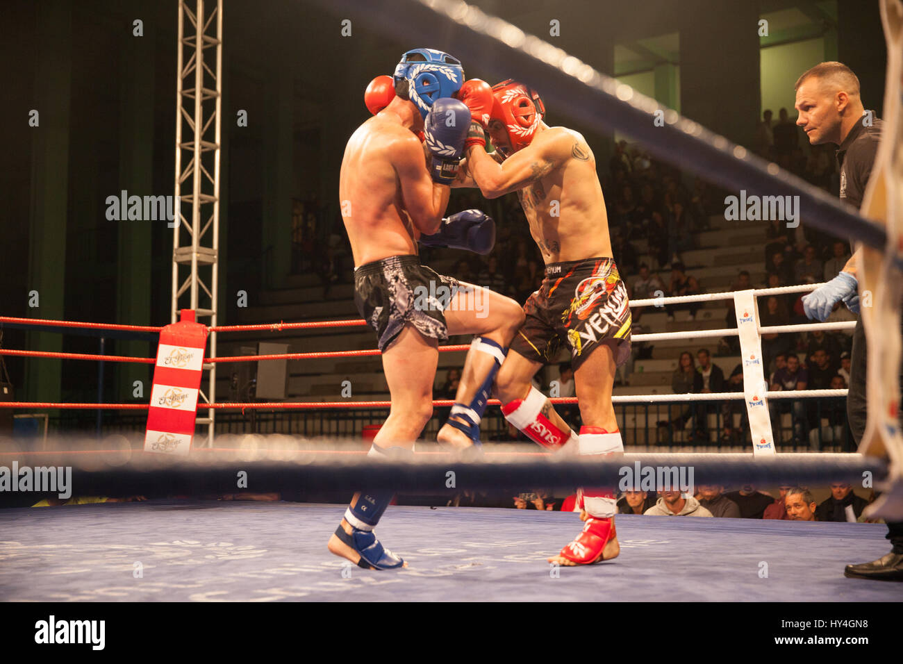 male versus male kickboxing match Stock Photo - Alamy
