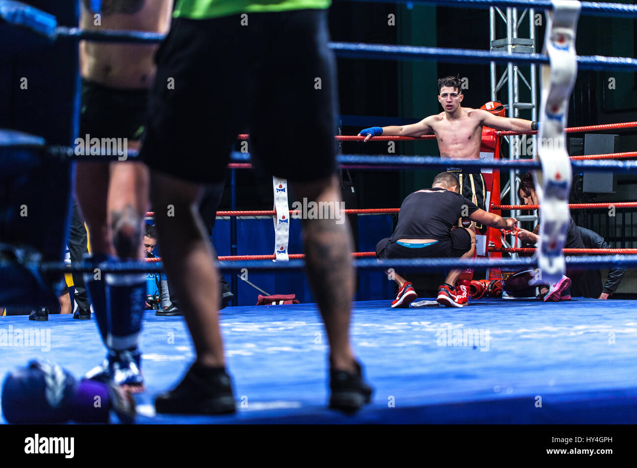 Kick boxing light contact hi-res stock photography and images - Alamy