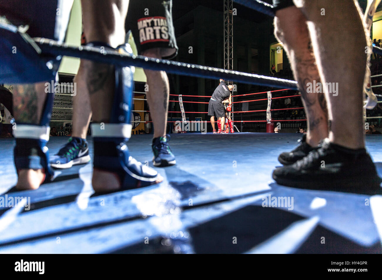 male versus male kickboxing match Stock Photo - Alamy