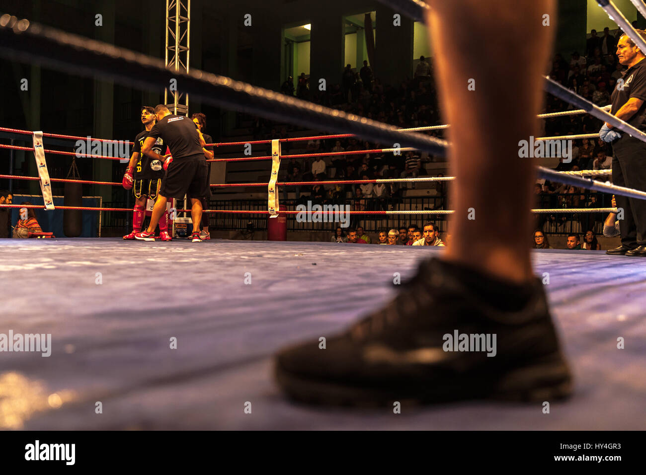 male versus male kickboxing match Stock Photo - Alamy