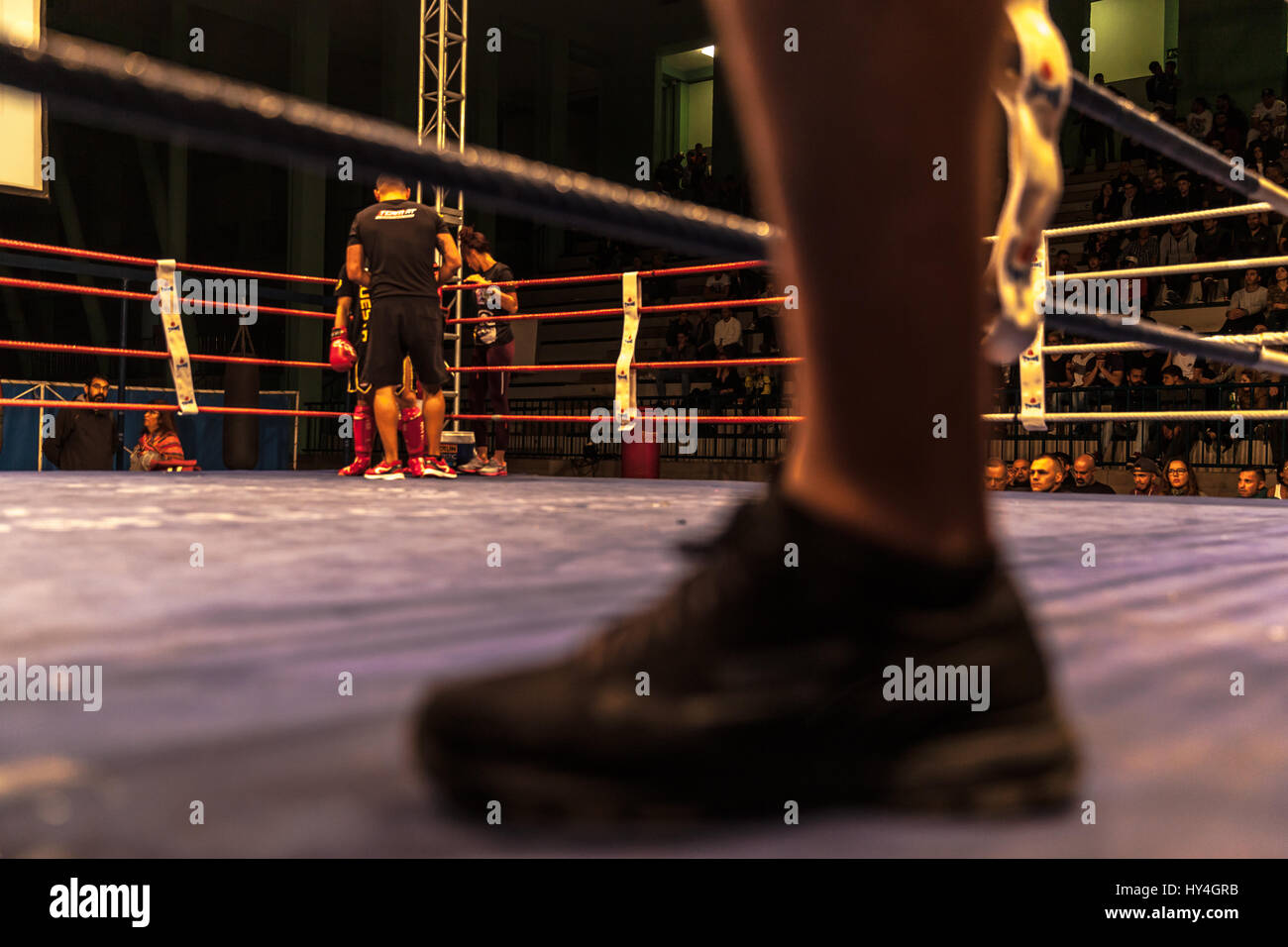 male versus male kickboxing match Stock Photo - Alamy