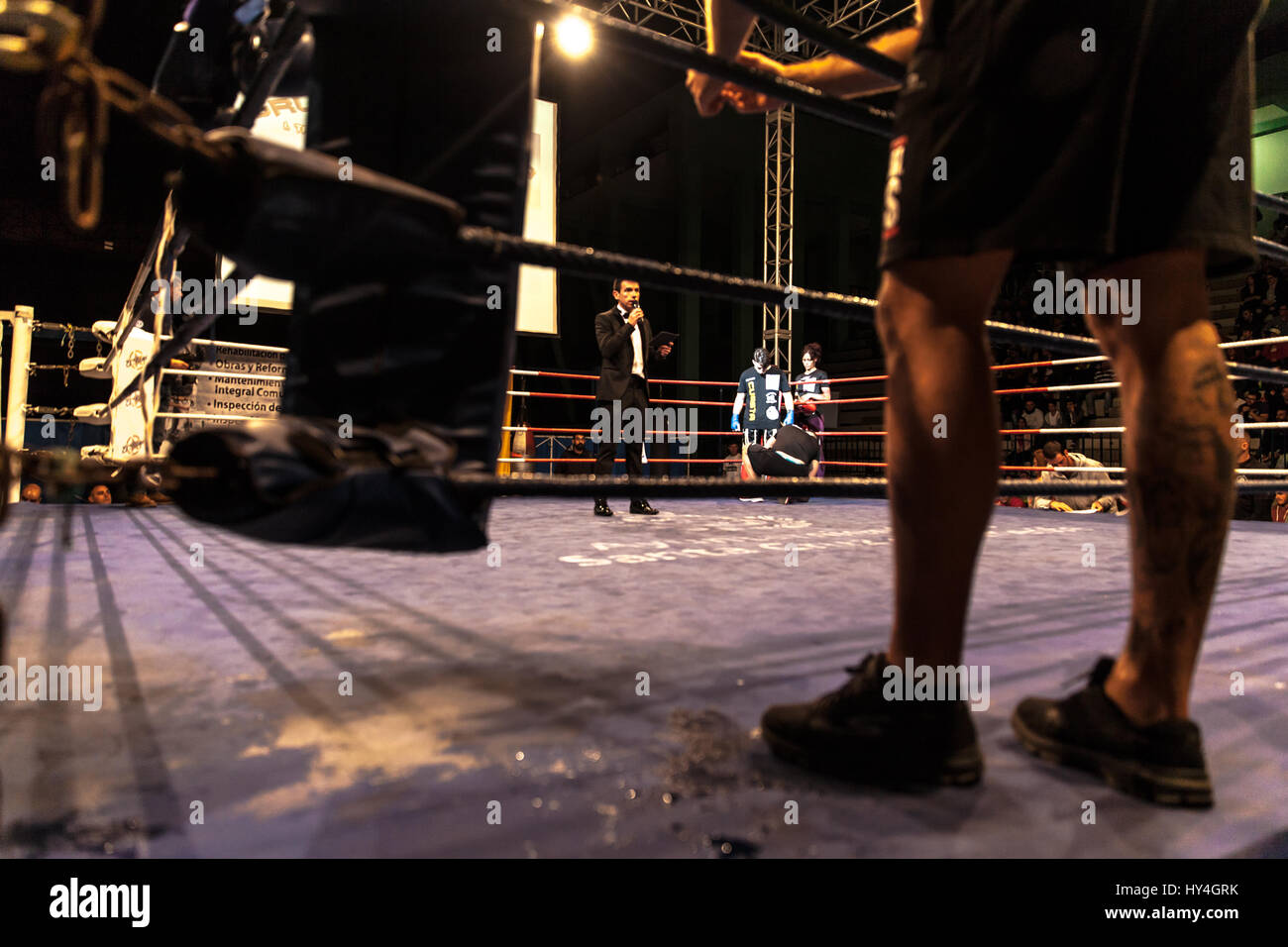 Kick boxing light contact hi-res stock photography and images - Alamy