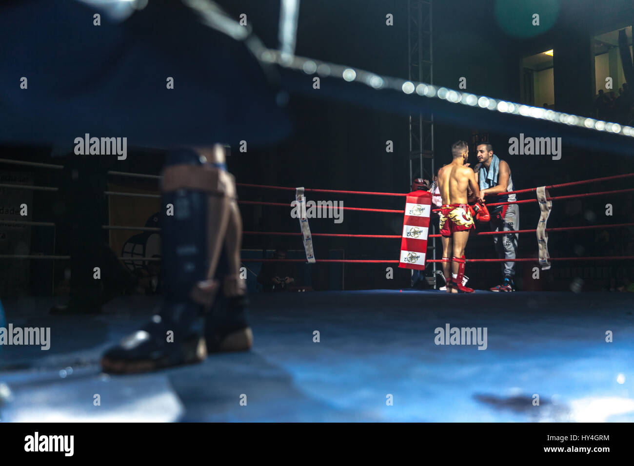 male versus male kickboxing match Stock Photo - Alamy