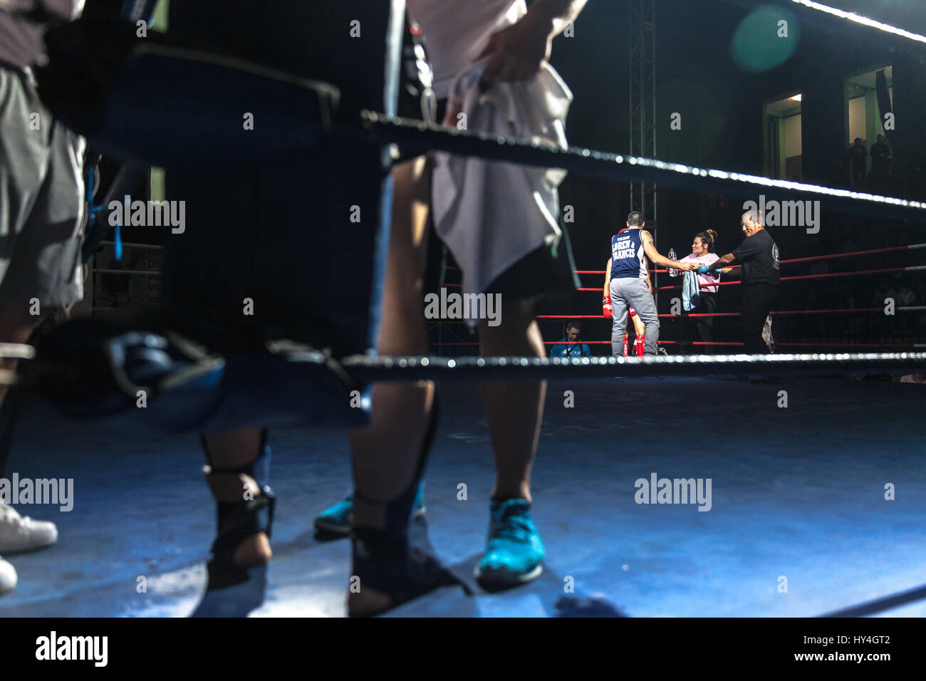 Kick boxing light contact hi-res stock photography and images - Alamy