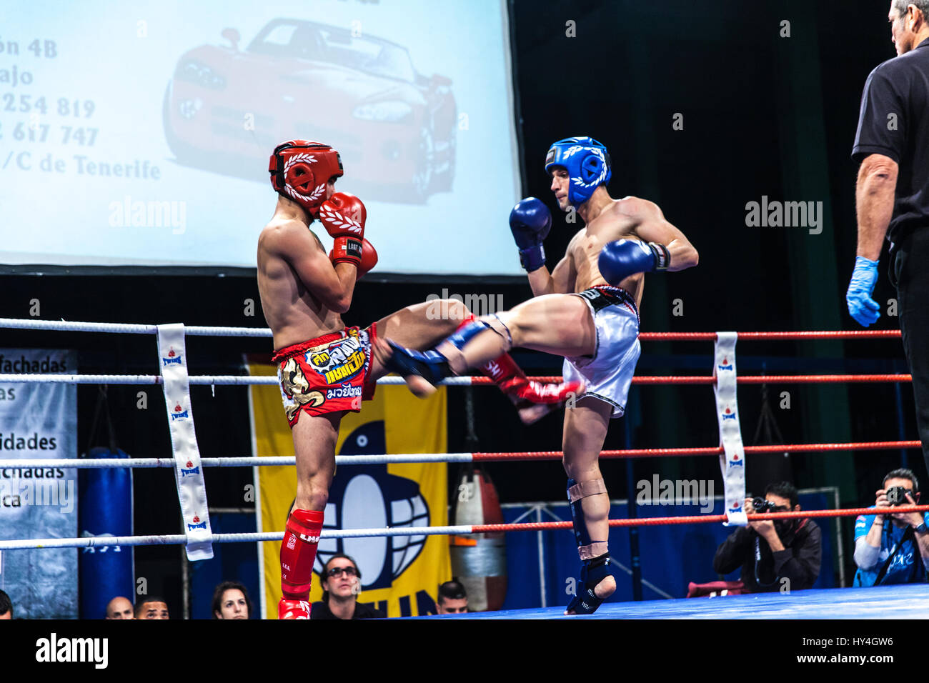 male versus male kickboxing match Stock Photo - Alamy