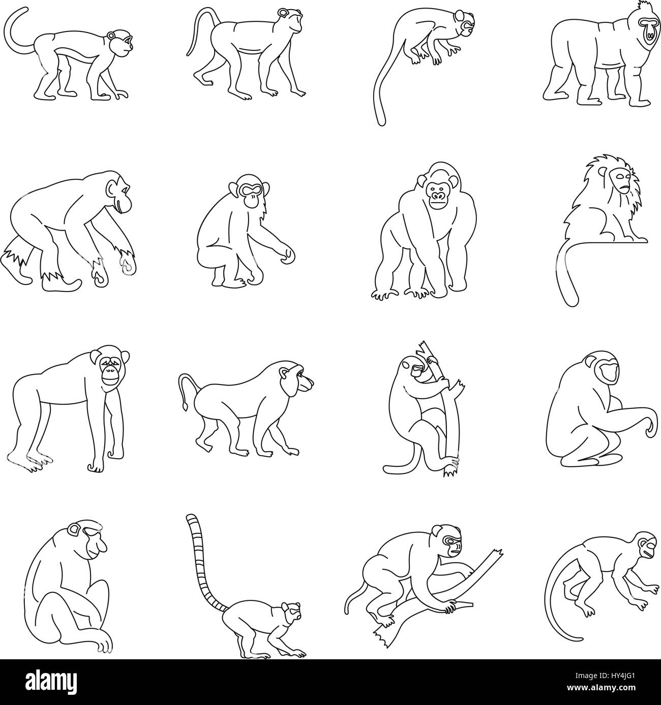 Monkey types icons set, outline style Stock Vector Image & Art - Alamy