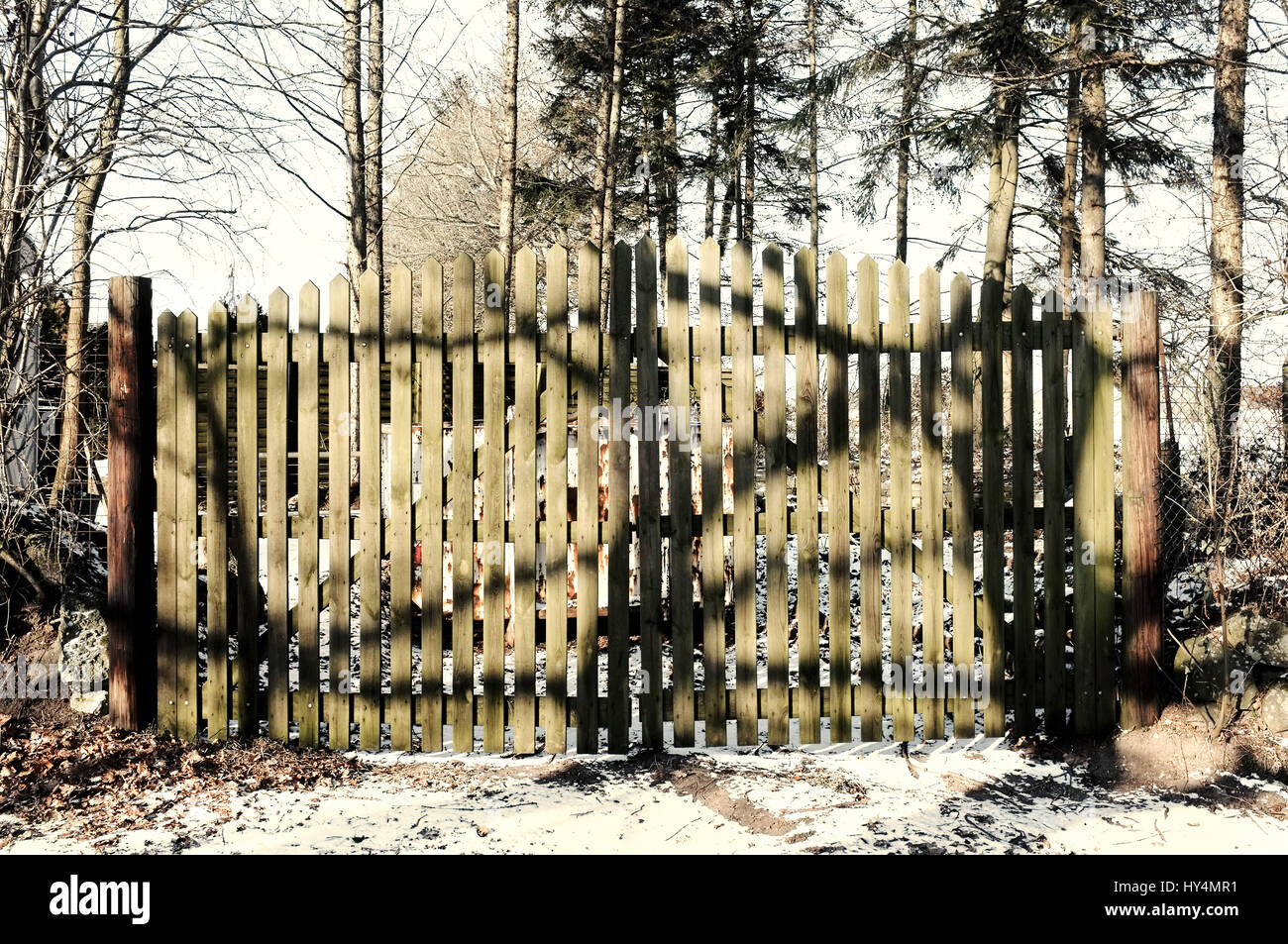 Gate with trees in winter Stock Photo - Alamy