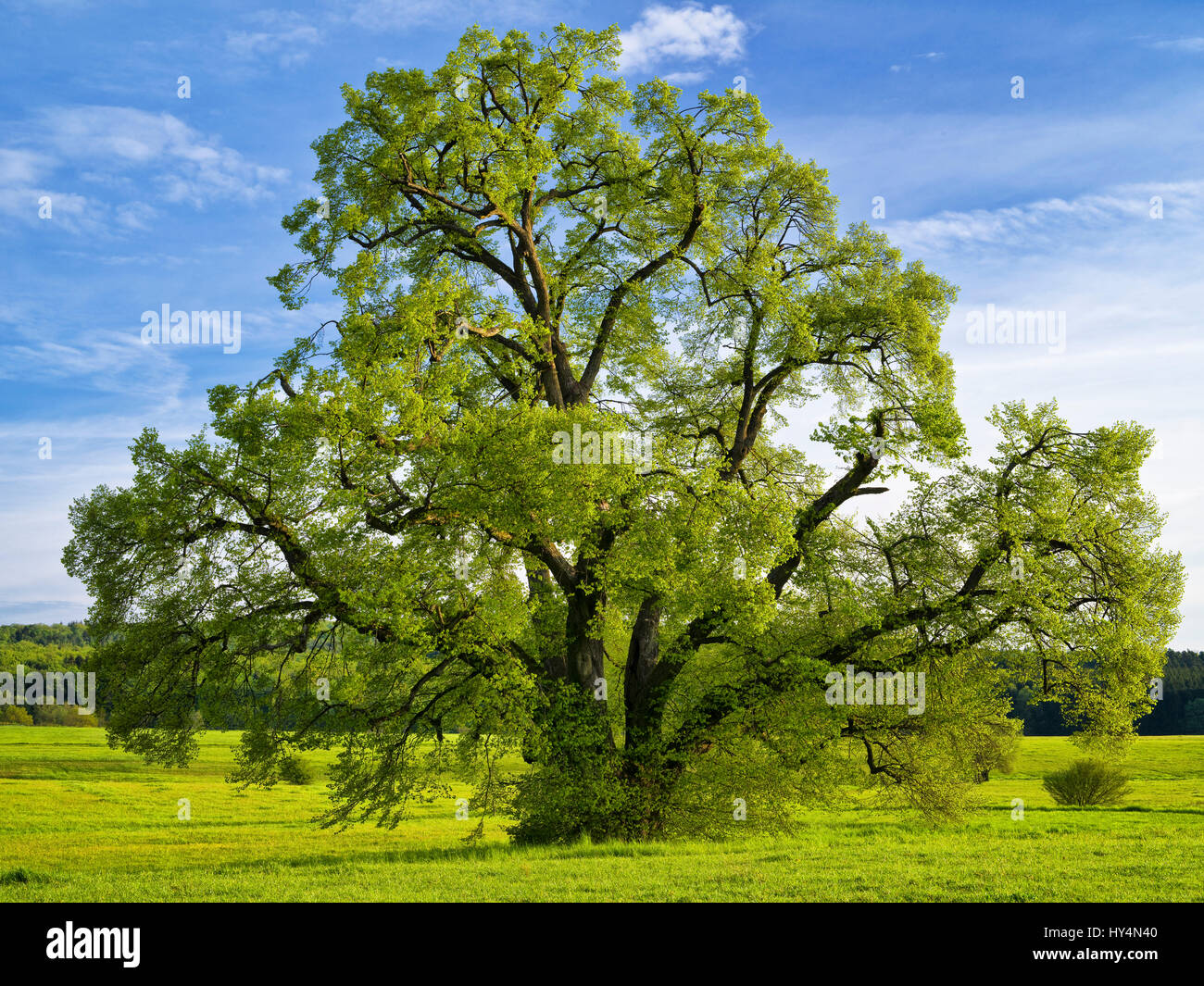 Bellersdorf hi-res stock photography and images - Alamy