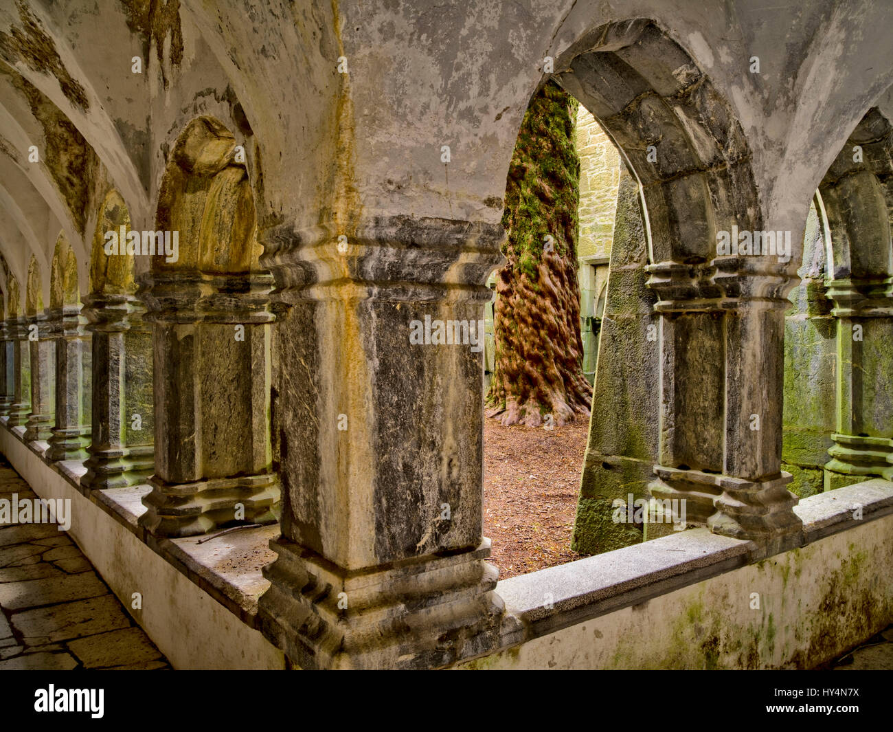 Muckross abbey hi-res stock photography and images - Alamy