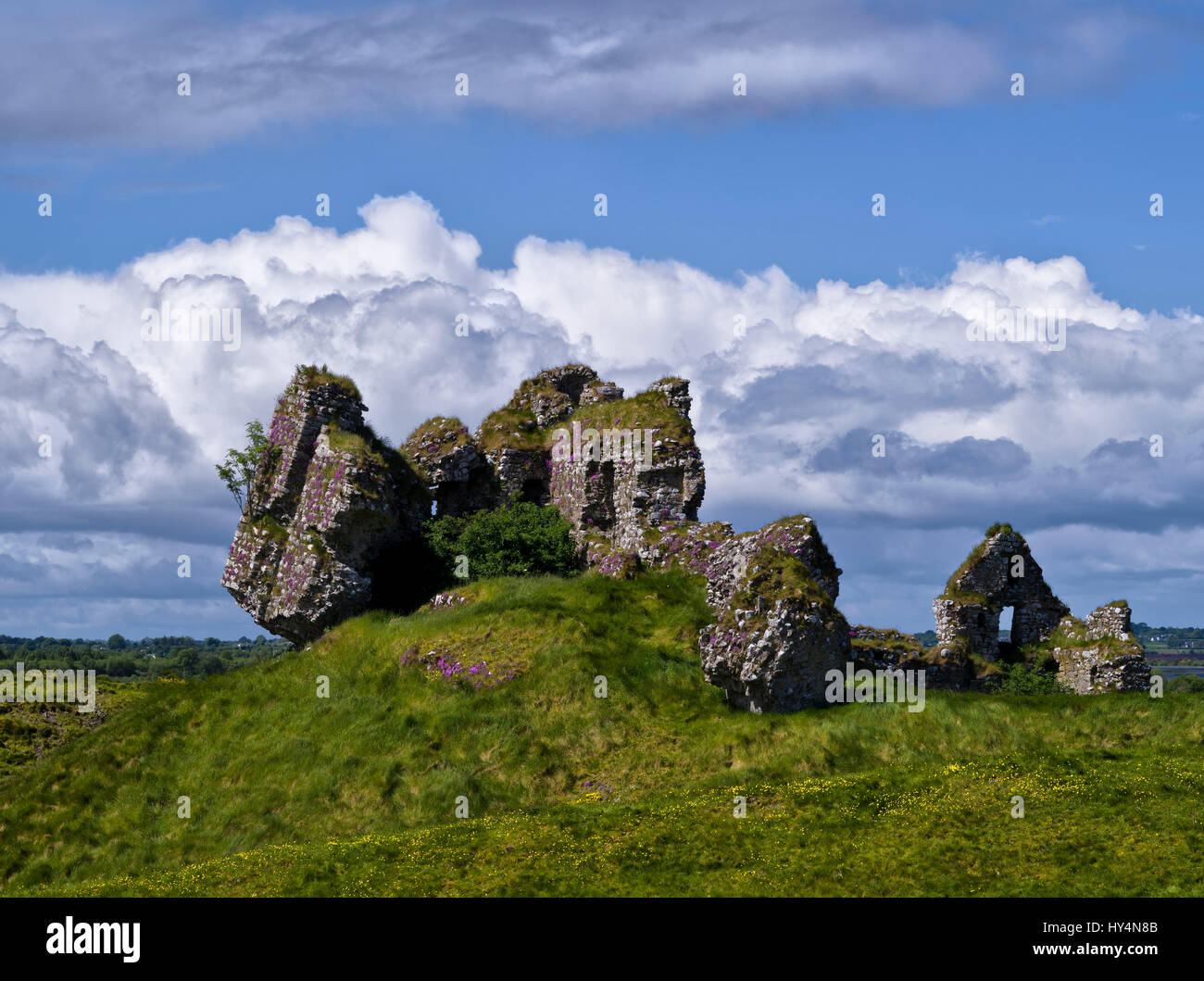 Ireland, Roscommon, monastery ruins and plant in Clonmacnoise, ruins of ...