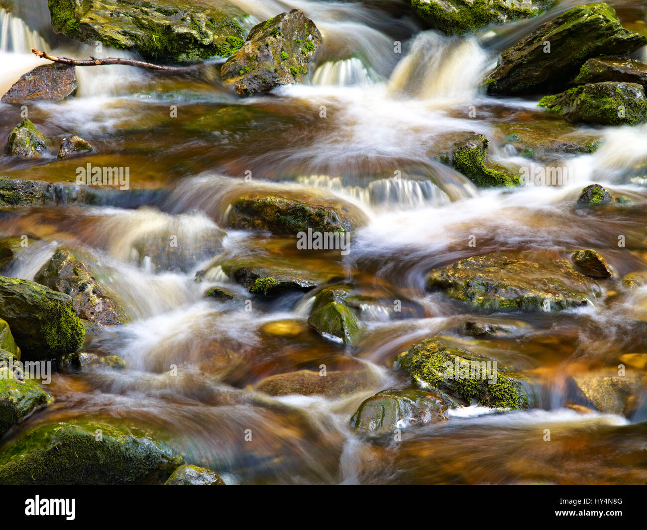 Ireland, Wicklow, brook in the Wicklow Mountains, brown moor water ...