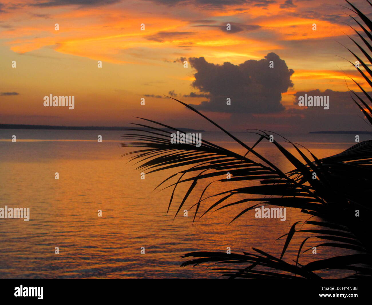 Amazon brazil brasil hi-res stock photography and images - Alamy