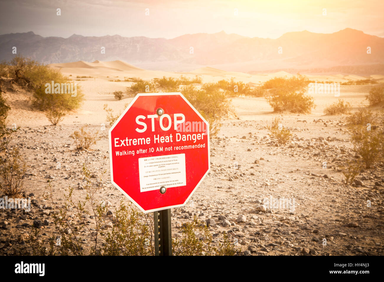 USA, California, Death Valley, stop sign Stock Photo - Alamy