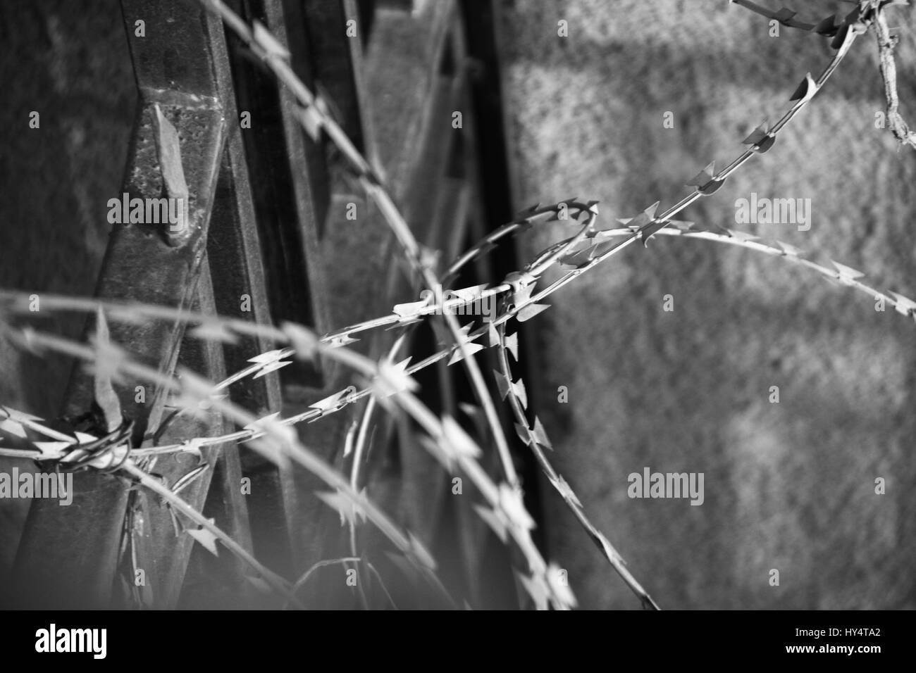 Razor wire injury hi-res stock photography and images - Alamy