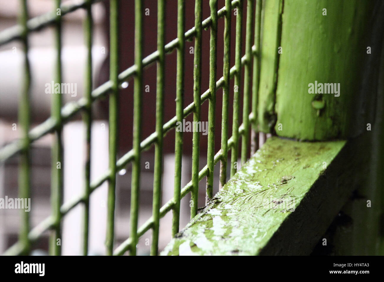 The green grid hi-res stock photography and images - Alamy