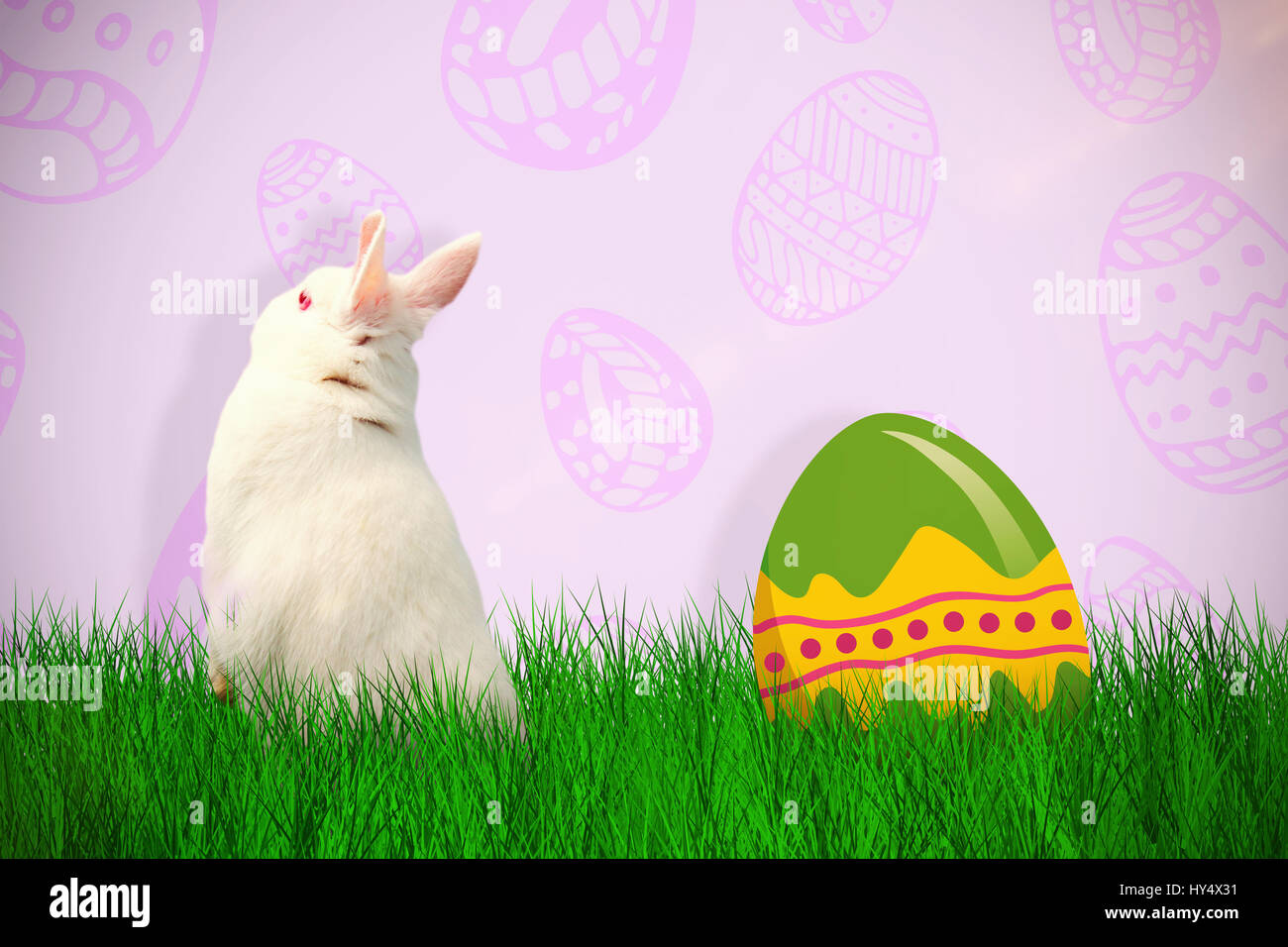 Rear view of cute rabbit against purple background Stock Photo - Alamy