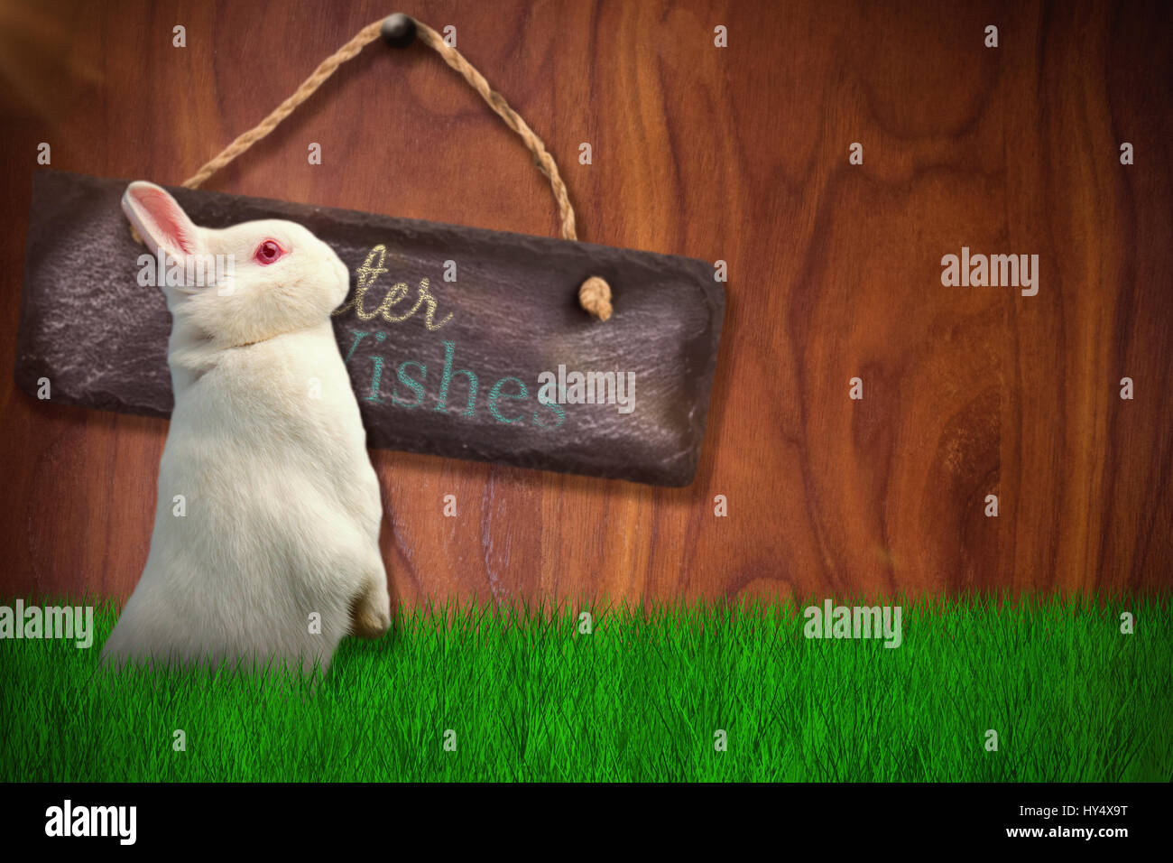 Side view of cute rabbit against wood background Stock Photo - Alamy