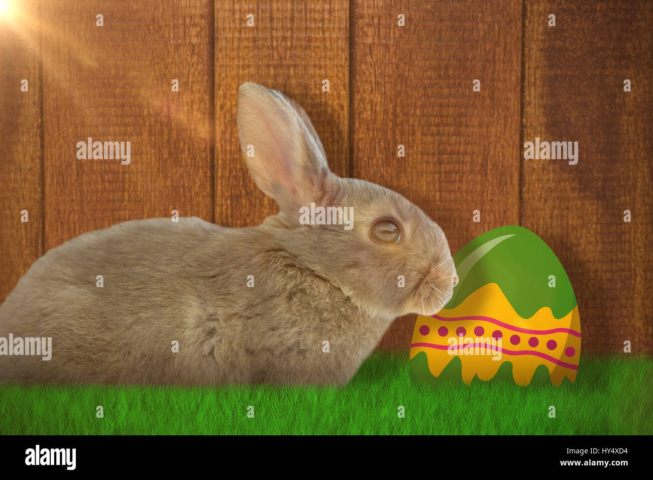Side view of cute brown rabbit against wooden background Stock Photo ...