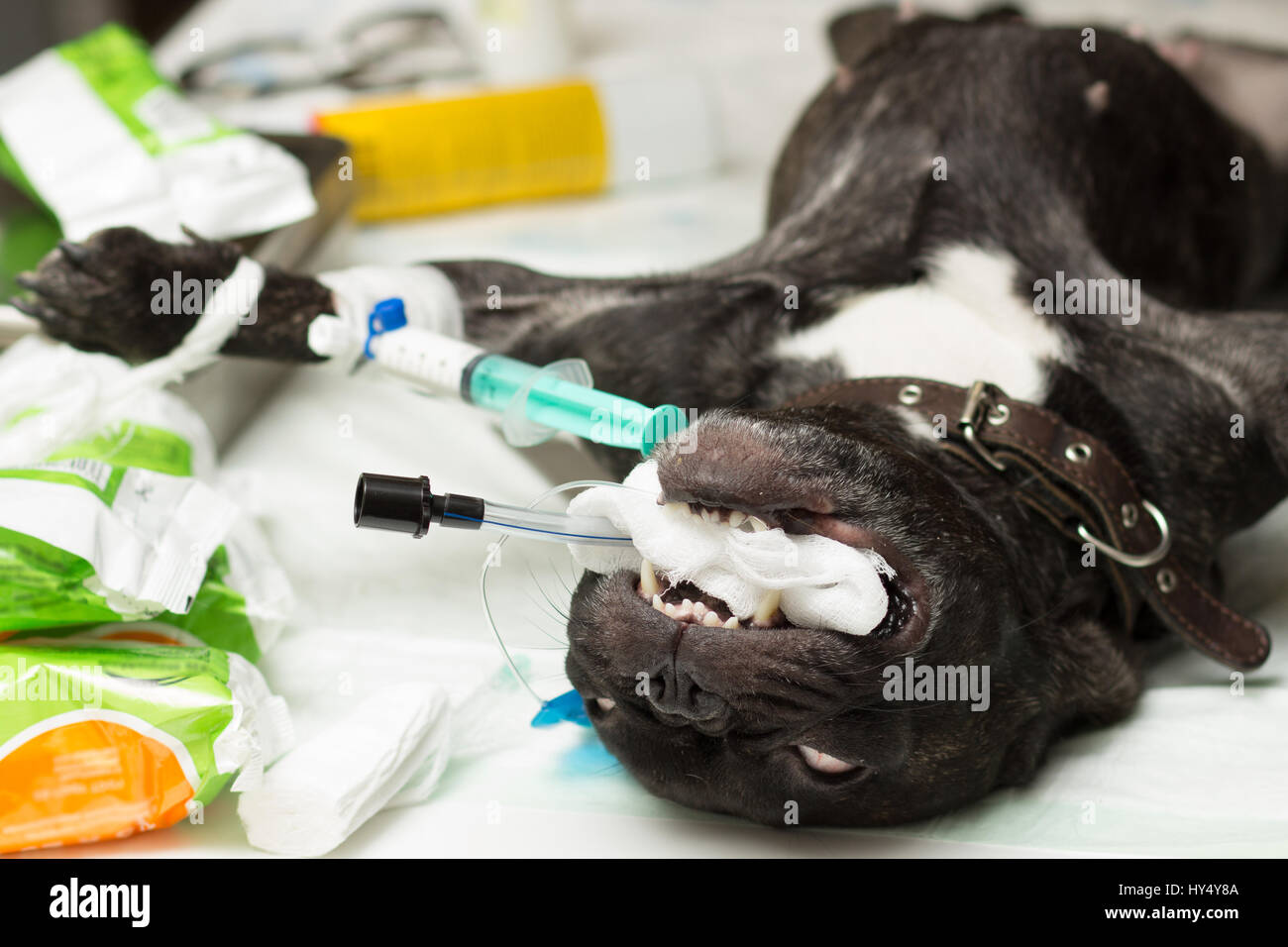 Intubation Stock Photos & Intubation Stock Images - Alamy