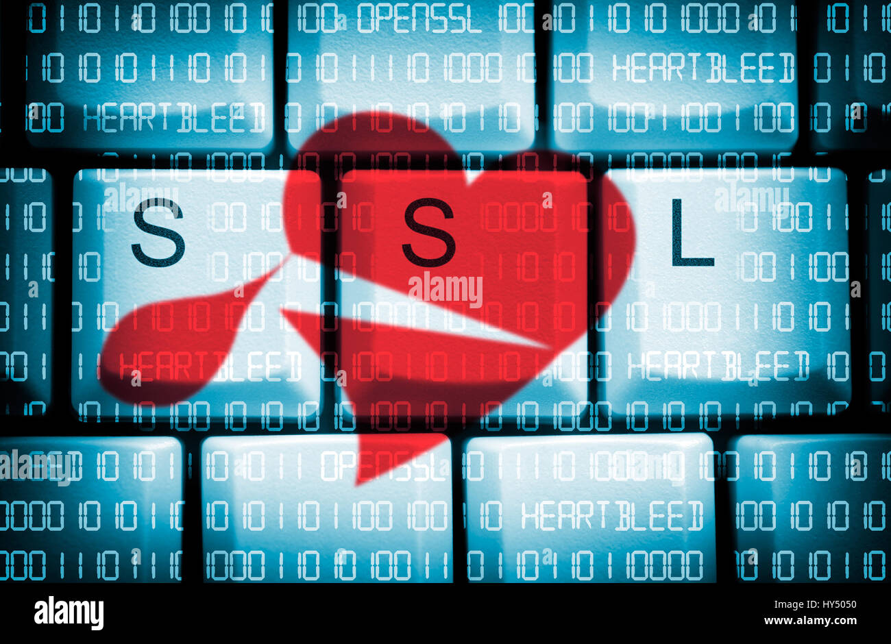 Computer keys with SSL stroke and binary code, security gap Heartbleed ...