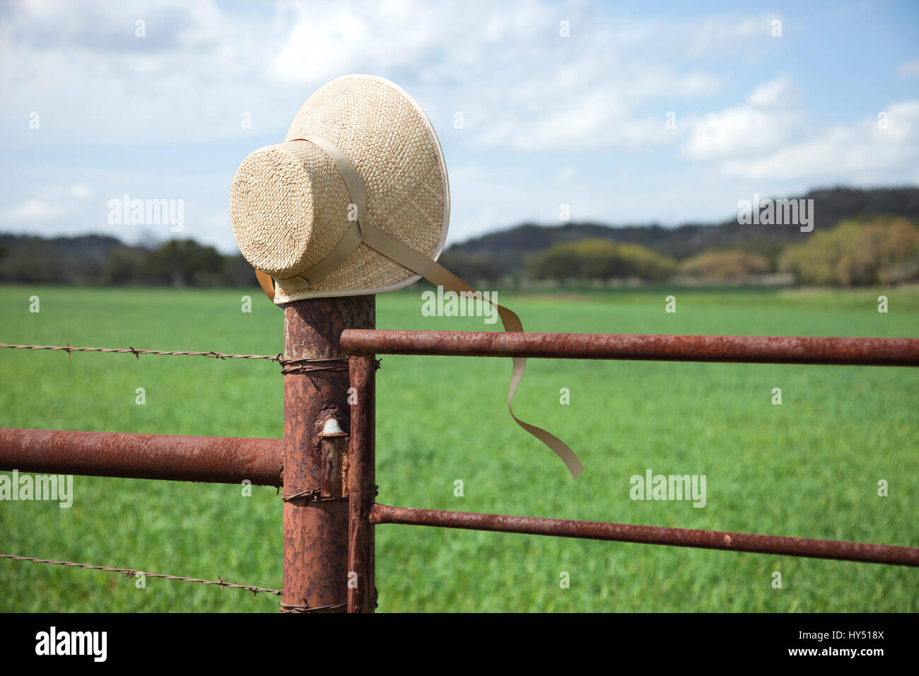 Straw in the wind hi-res stock photography and images - Alamy