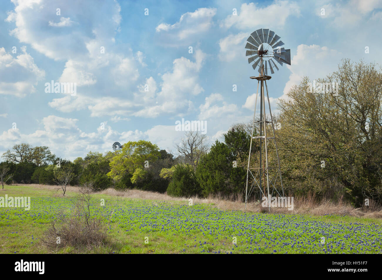Bluebonnets hi-res stock photography and images - Alamy
