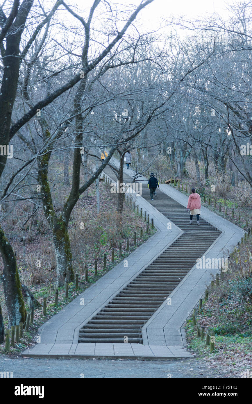 Mt.Kobo, Hadano City, Kanagawa Prefecture, Japan Stock Photo - Alamy