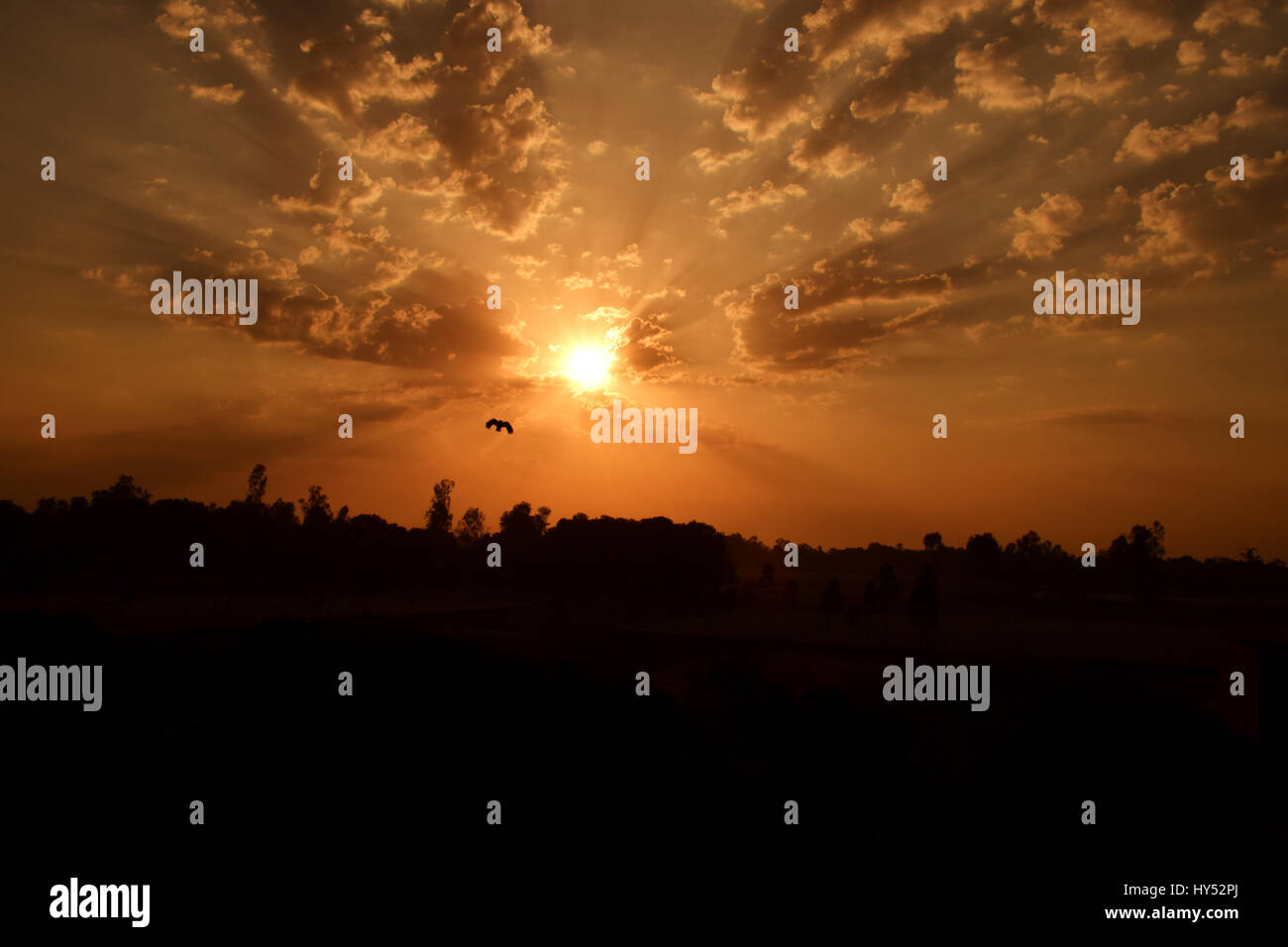 Early morning sun and clouds hi-res stock photography and images - Alamy