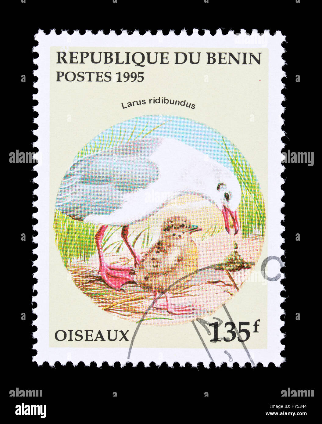 Postage stamp from Benin depicting a black-headed gull (Larus ...